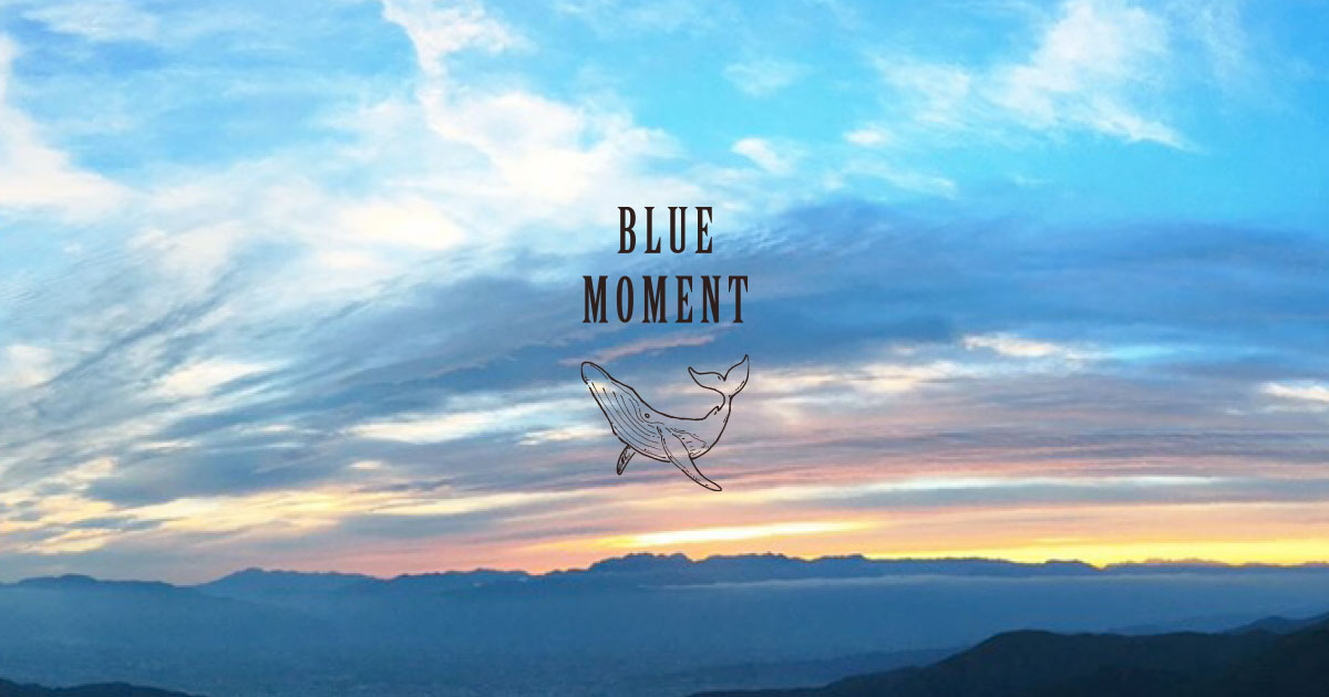 株式会社 BLUE MOMENT